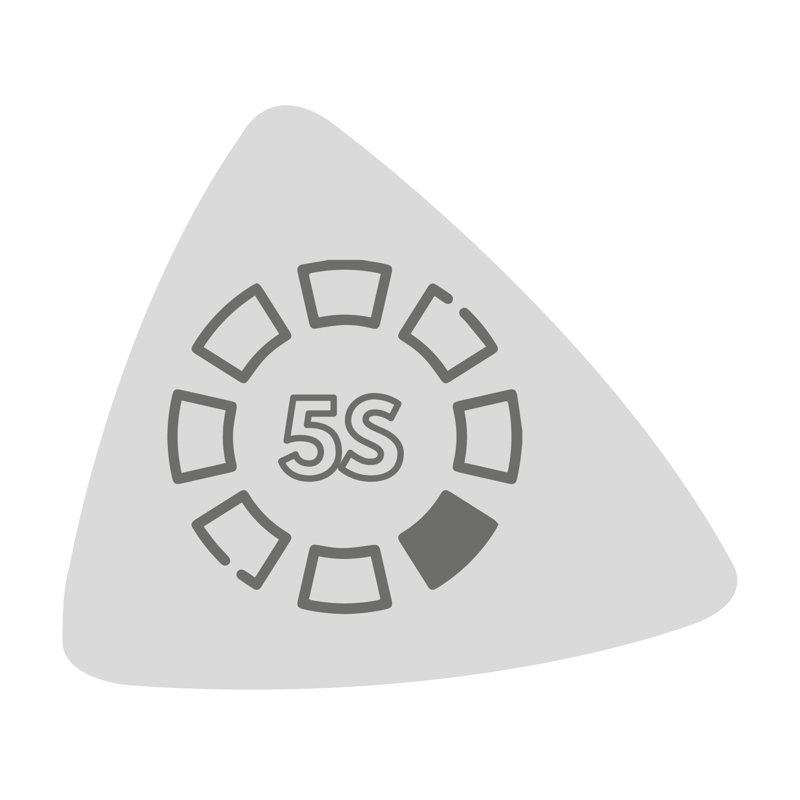 Pilotage de la démarche 5S – GH Training